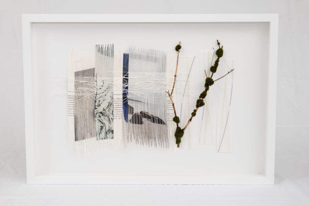 GALLERY – Fibre Theory